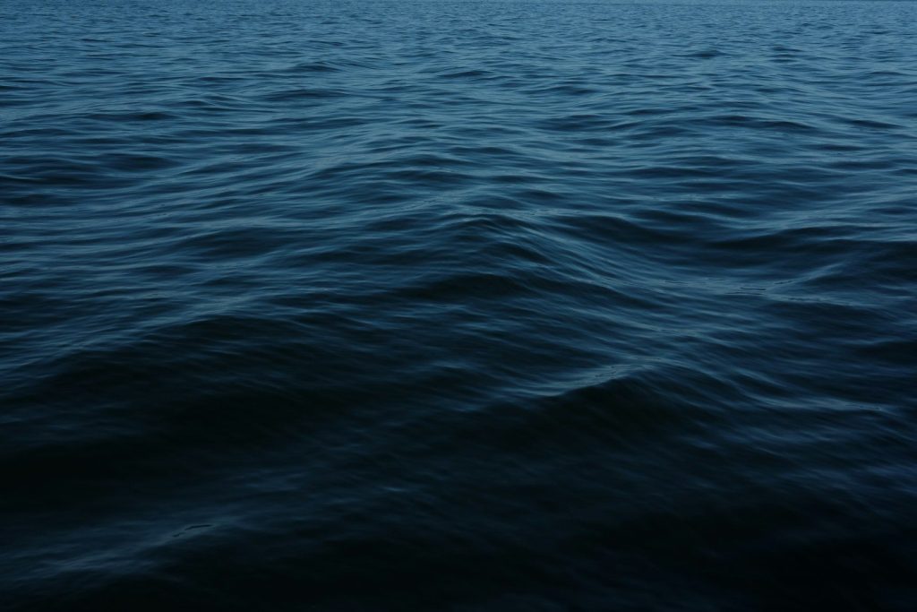 Why tiny crustaceans are making big news in ocean science