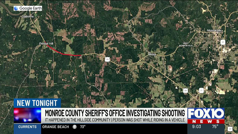 Passenger shot on Highway 84 in Hillside community