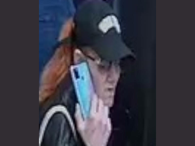 Caught on camera: 23 photos from West Yorkshire Police this week of ...