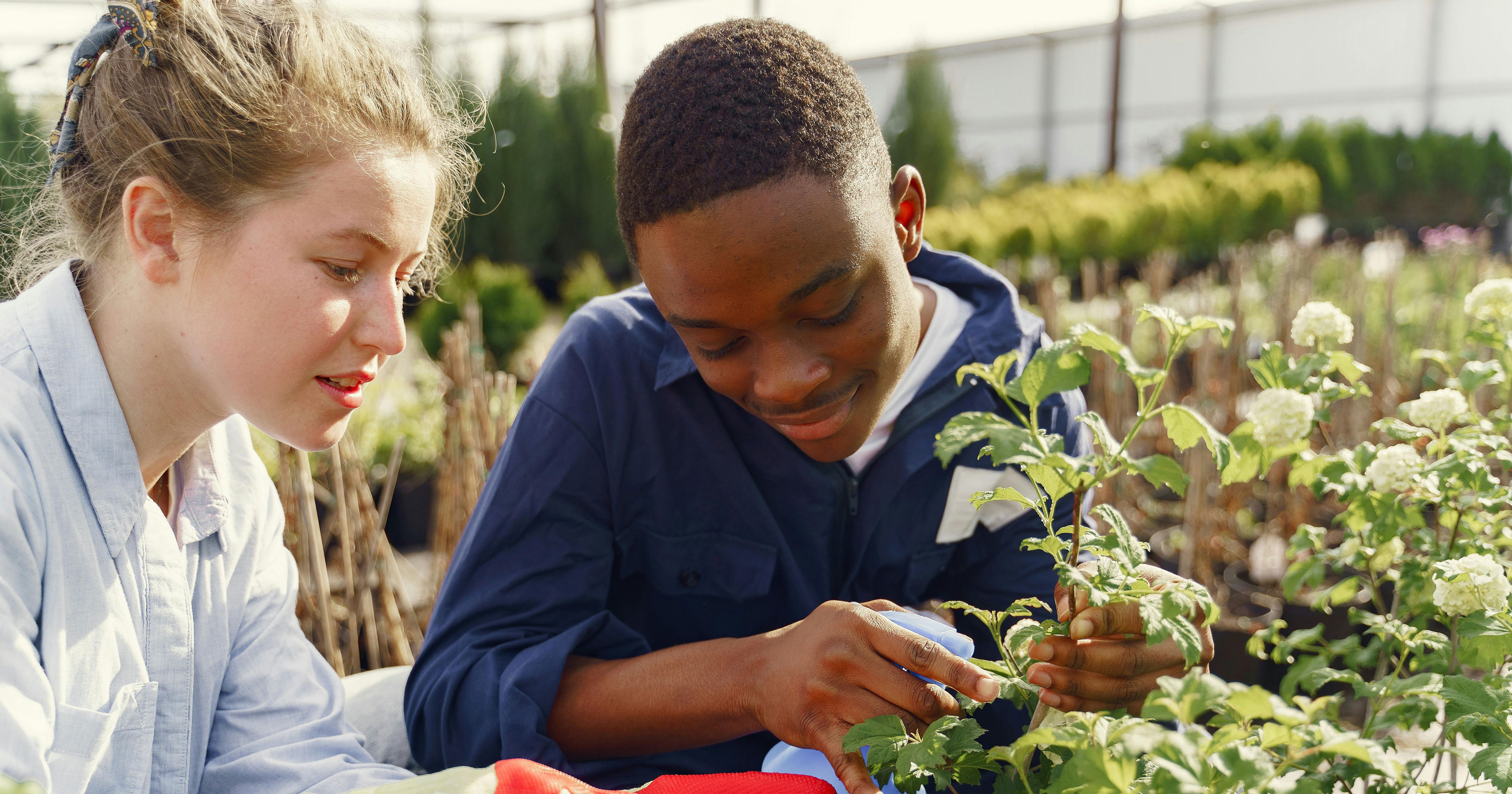 Missouri school district brings farming to the classroom