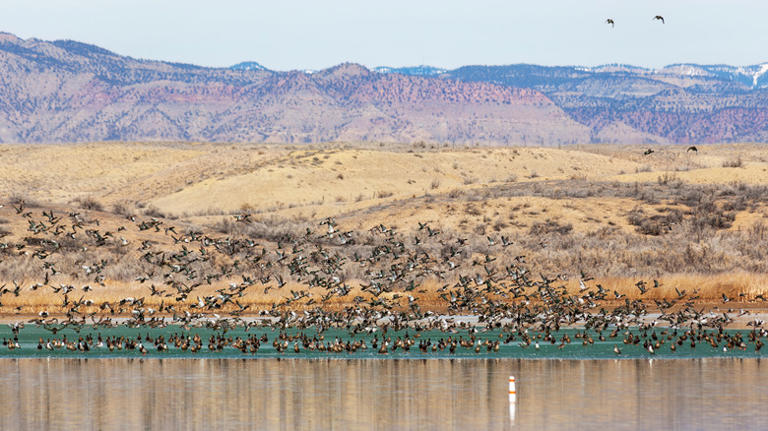Colorado's Lake State Park near Grand Junction is a desert oasis with a ...