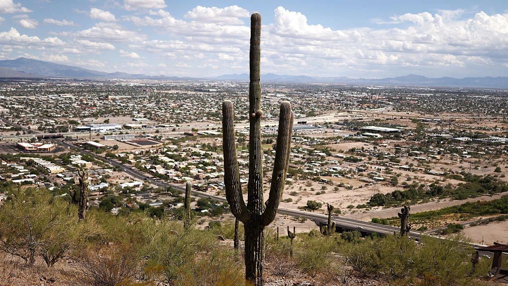 Your guide to Saguaro National Park adventures