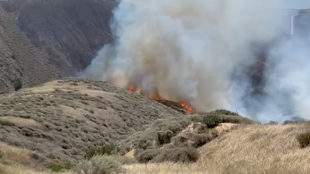 Santa Rosa Island fire burns nearly 17,000 acres in Channel Islands ...