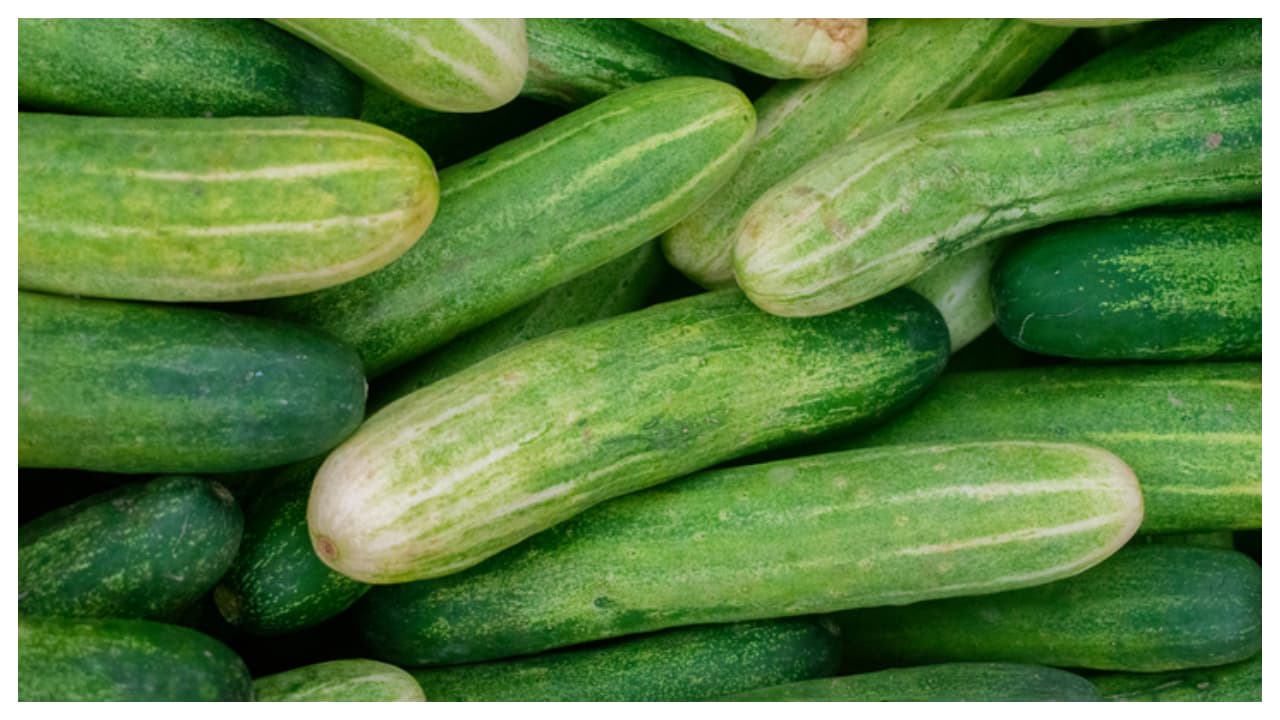 Cucumber: ఫ్రిజ్ లో పెట్టినా కీరదోస పాడైపోతోందా? ఇలా చేస్తే నెలరోజులైనా ...