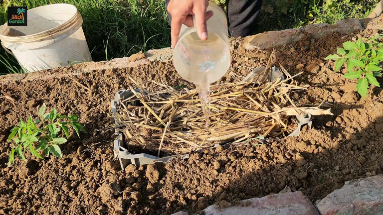 I turned an old fruit basket into a simple worm compost system for my ...