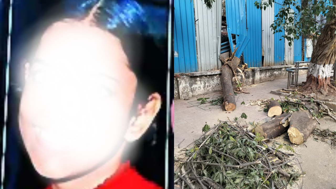 Mumbai’s Khar tree fall: A week later, brain-dead teen passes away; builder booked for culpable ...