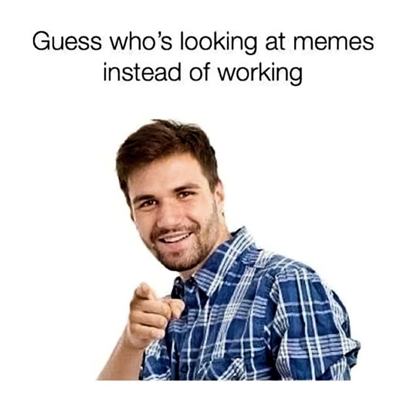 'Guess who's looking at memes instead of working' 24 memes to keep you ...
