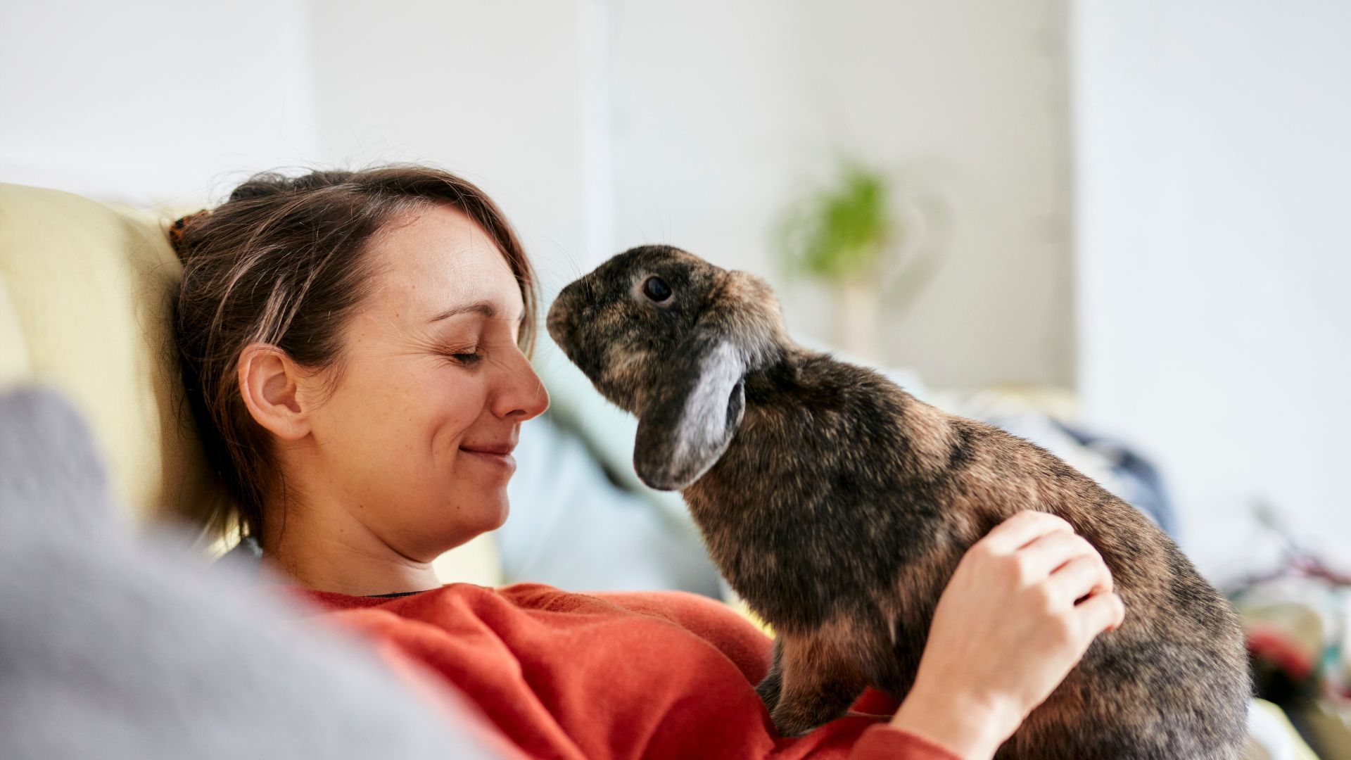 Things only rabbit owners can relate to