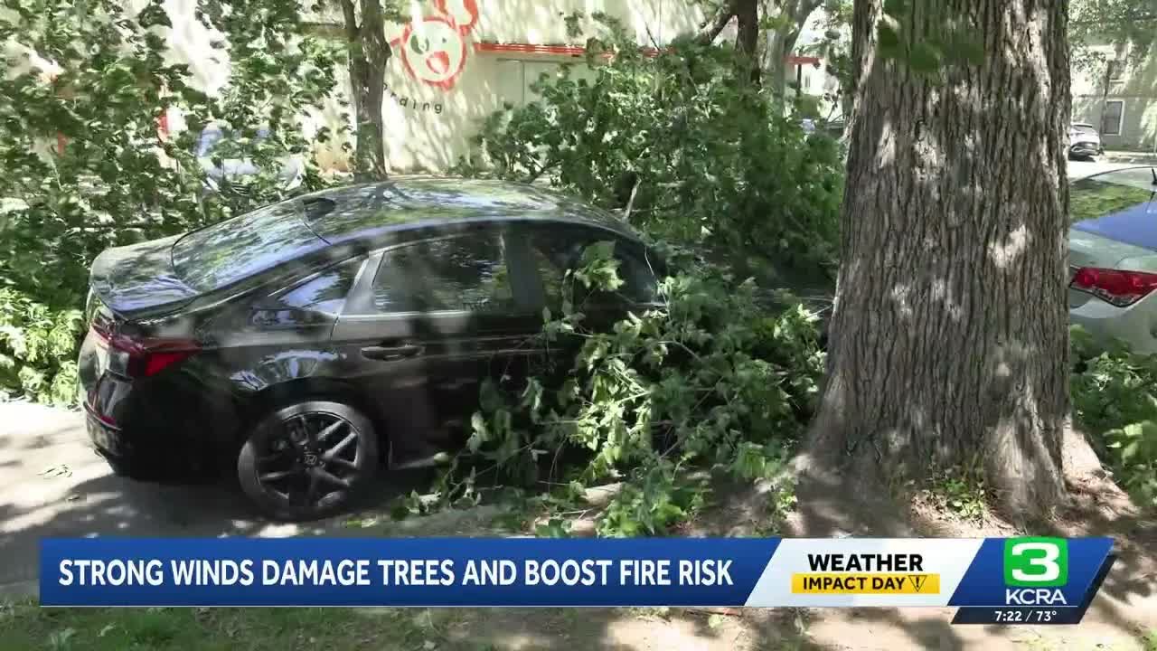 Red flag warning: Planned, unplanned outages happening across NorCal ...