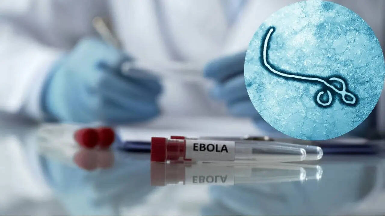 Ebola alert: At least 6 Americans exposed to deadly virus in Congo amid ...
