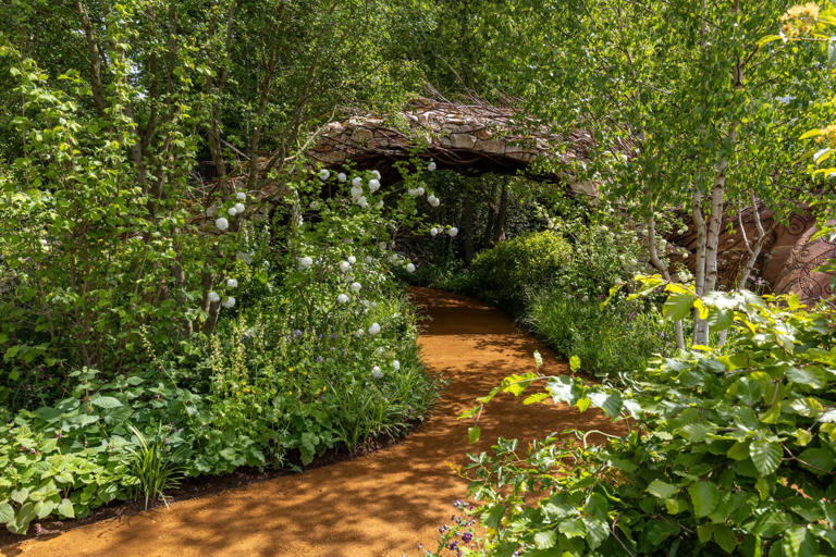 Chelsea Flower Show 2026: Sarah Eberle’s garden with a giant 'Mother ...