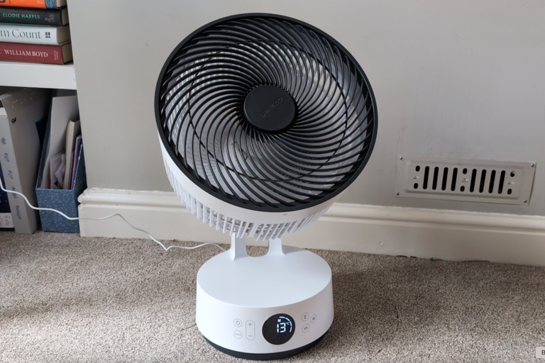 This £100 fan is powerful enough to cool a whole room