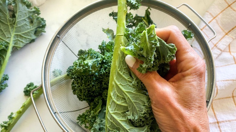 Kale lasagna recipe