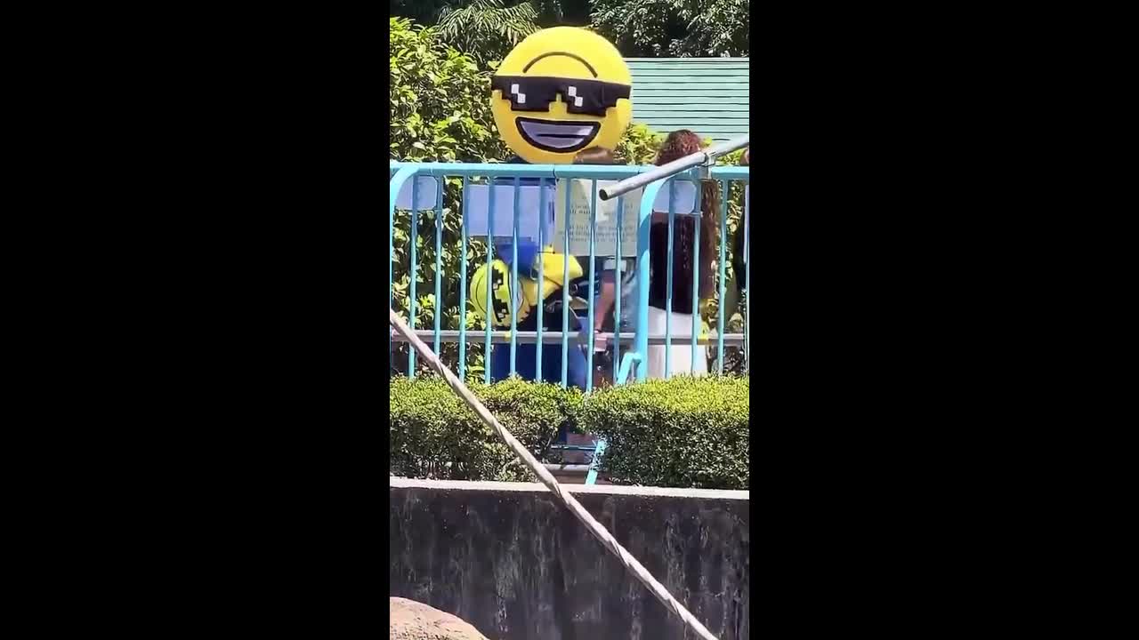 American Arrested For Entering Enclosure Of Punch The Baby Monkey In