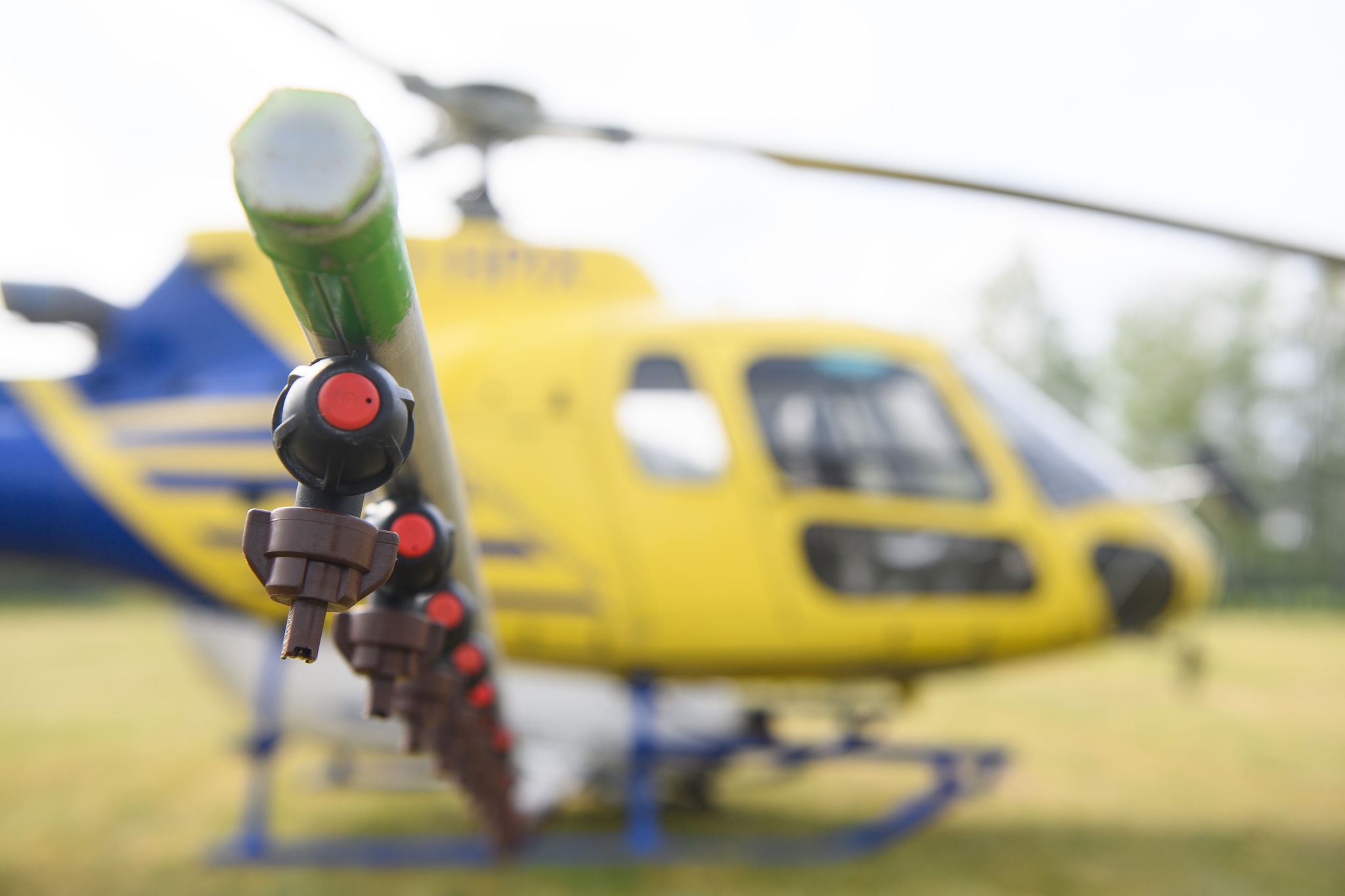Hubschraubereinsatz gegen giftige Raupen startet in Prignitz