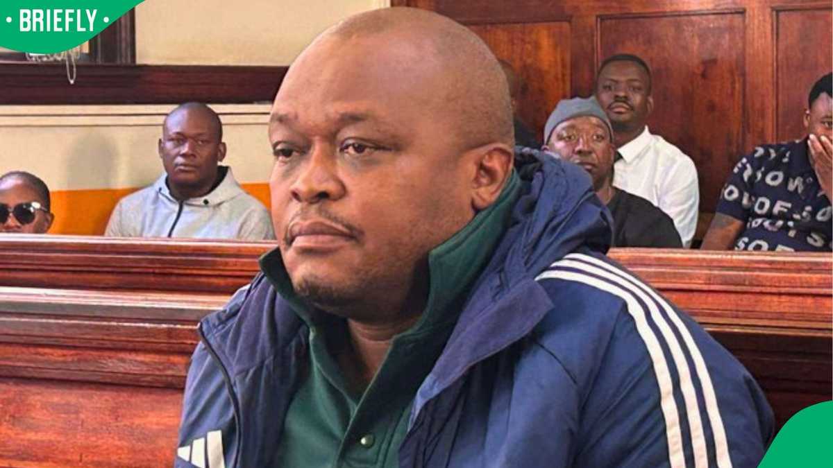 Brown Mogotsi's matter postponed for bail application, political fixer ...