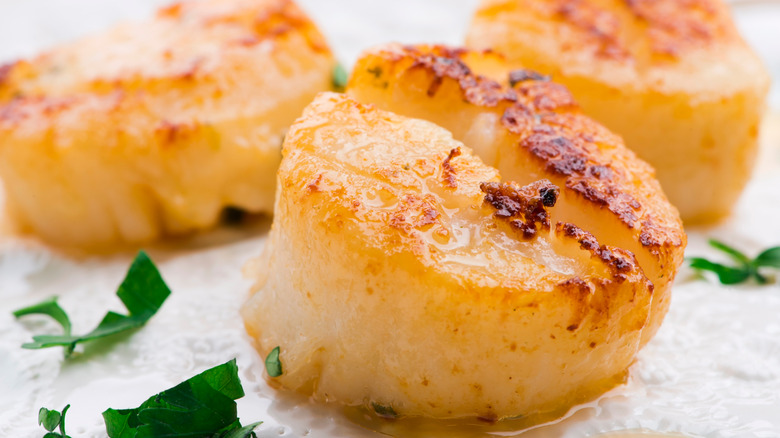Mistakes everyone makes when cooking scallops, according to 2 seafood ...
