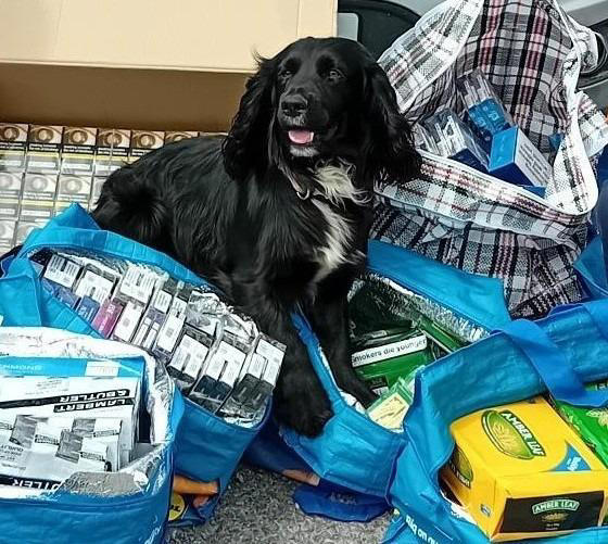 £9,000 of illegal vapes, cigarettes and hand-rolling tobacco seized in raid