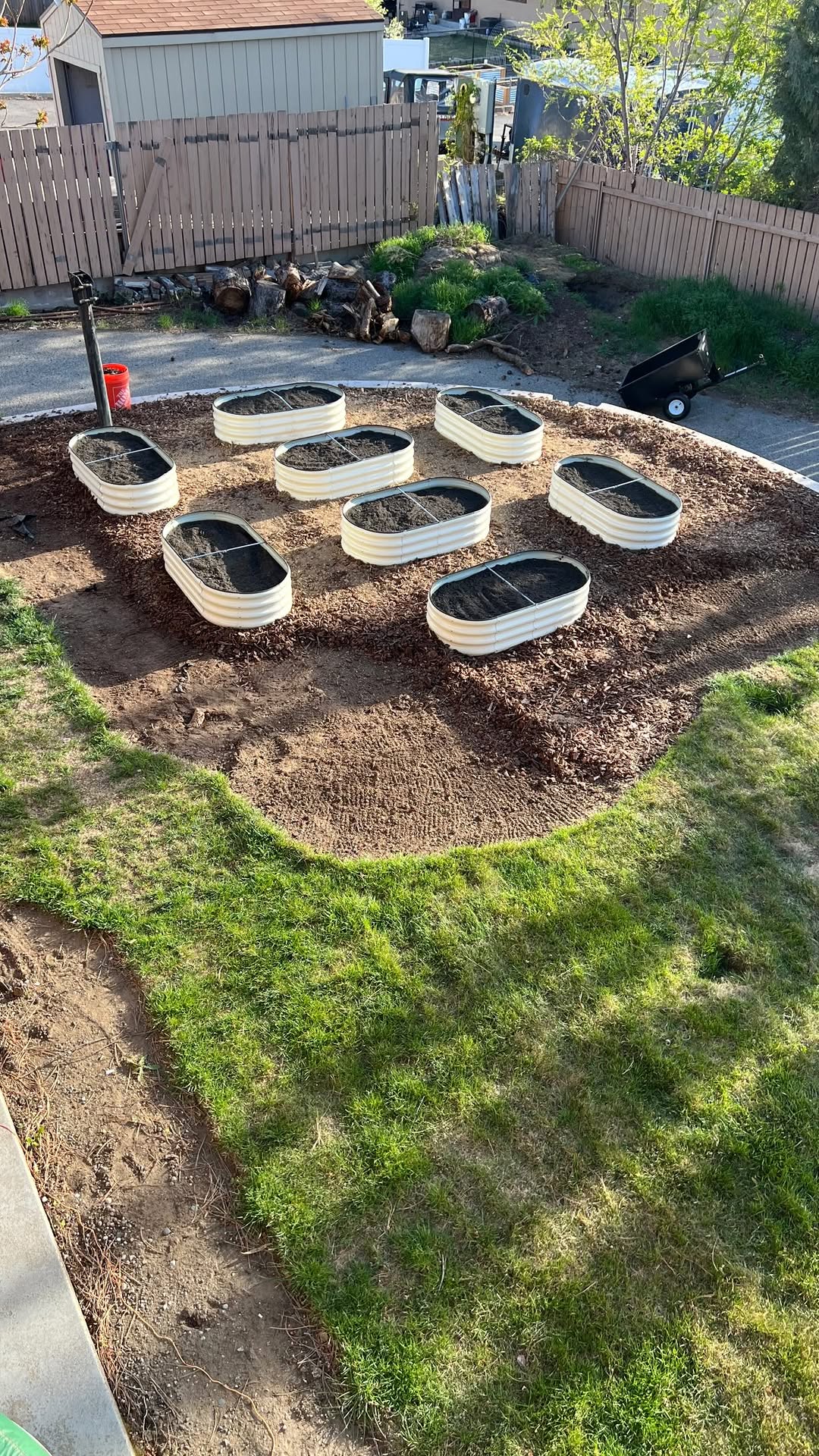 Tree removal and garden renovation yard project