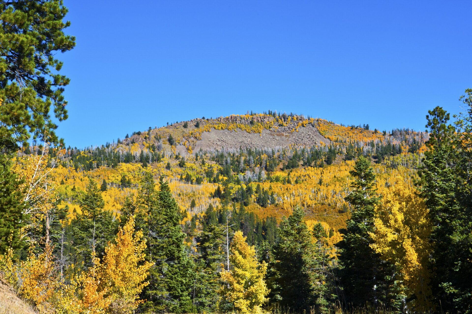 The fabulous discoveries at Hell Creek: T rex, prehistoric plants, and more