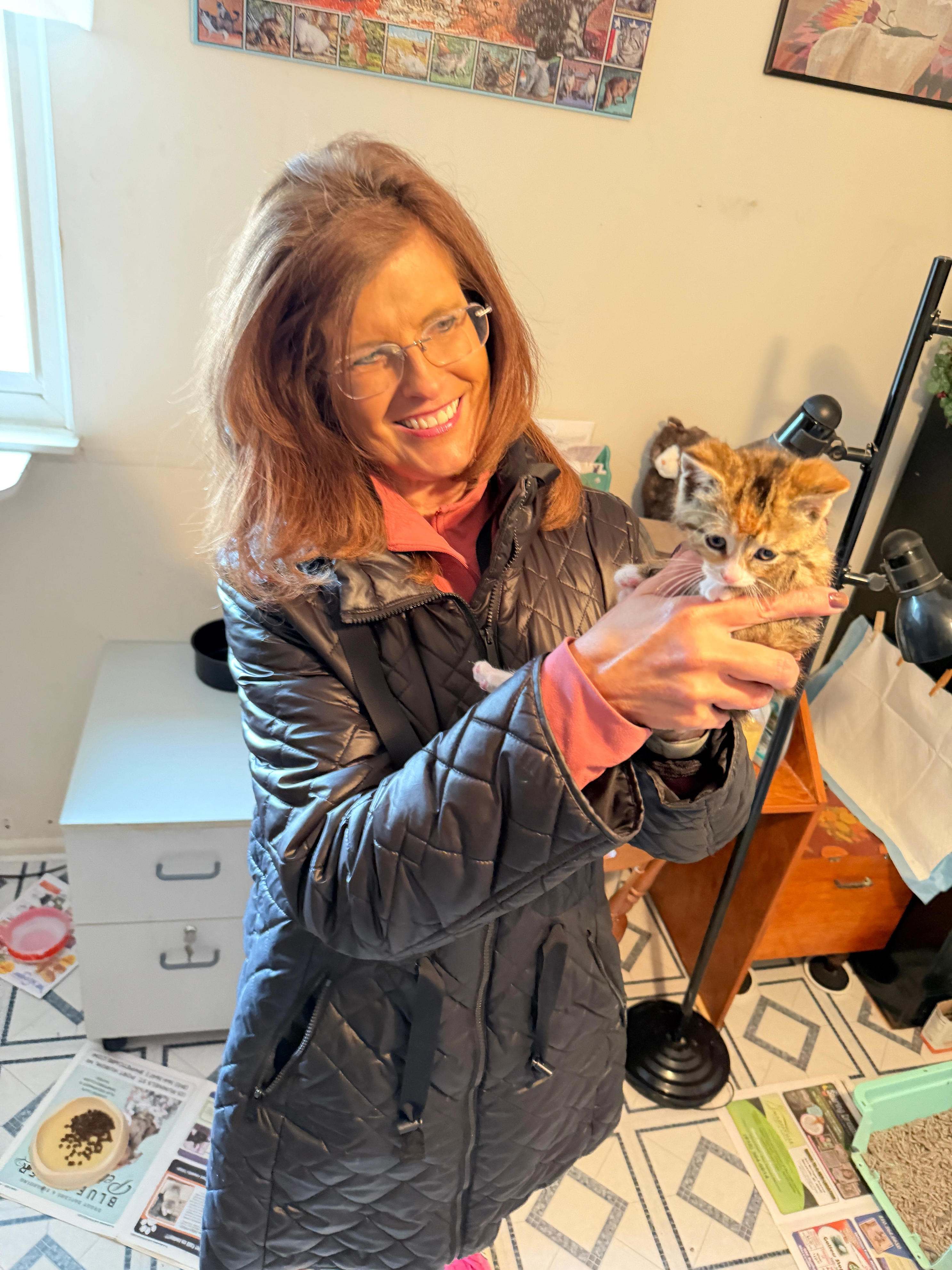 'Tire kitty' rescue highlights strain on local cat rescues