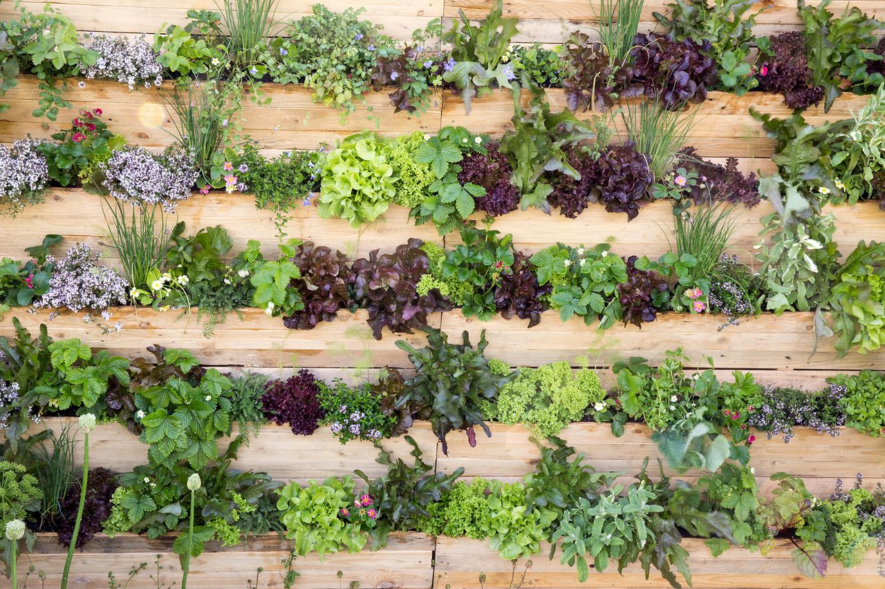Want to maximize space in your small garden? These wall-mounted ...