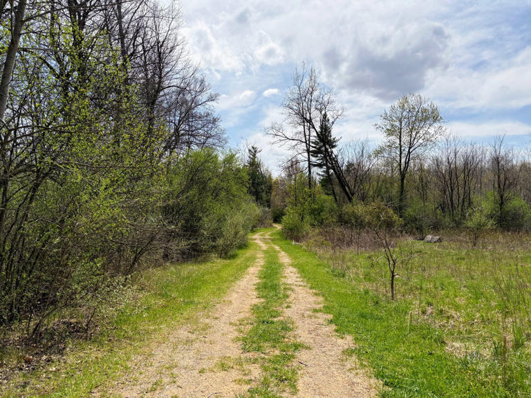 Trailblaze event offers hikes, games and family fun June 6