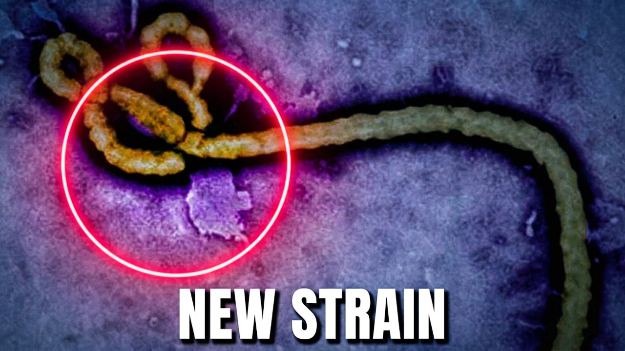 The new Ebola strain with no vaccine: Global emergency declared