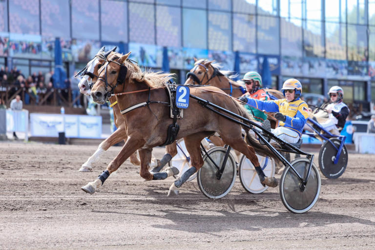 Päivän ravit: Kouvolan tasokkaat ravit käynnistävät viikon