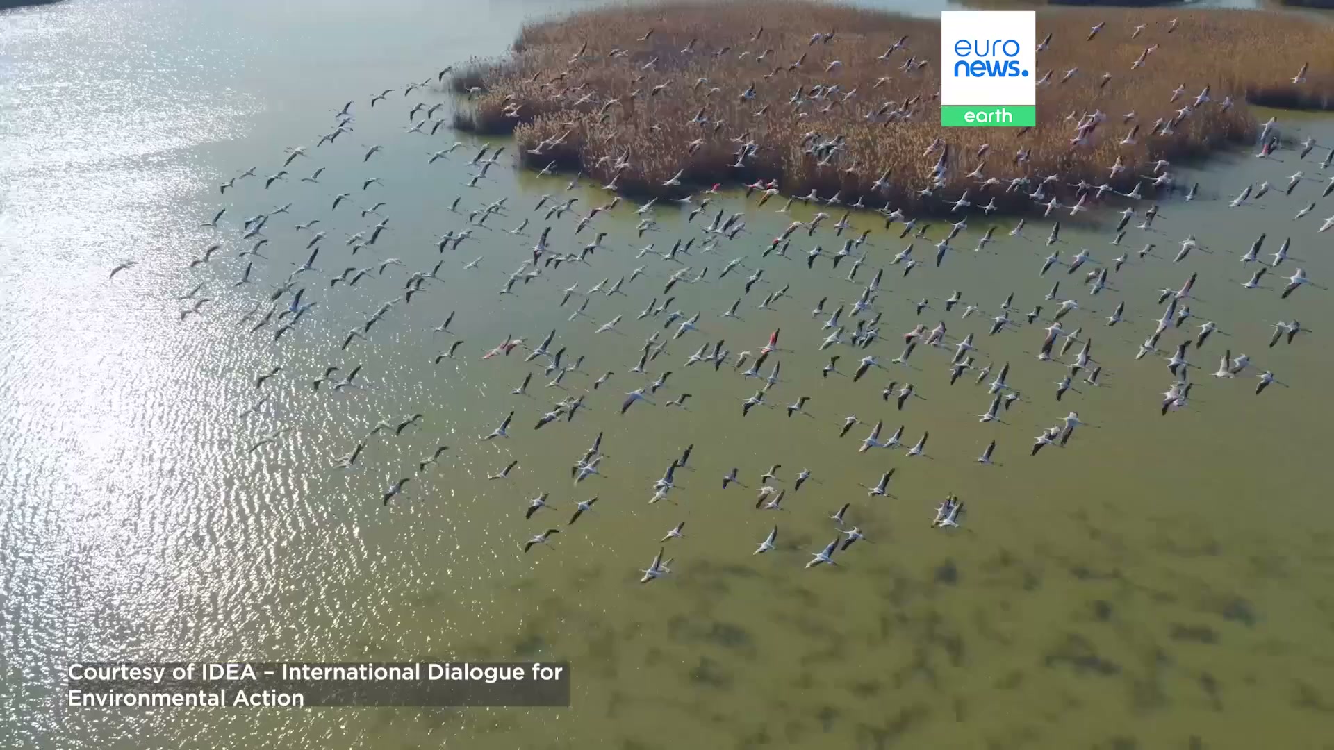 The world's largest lake is disappearing – and it's taking ecosystems ...