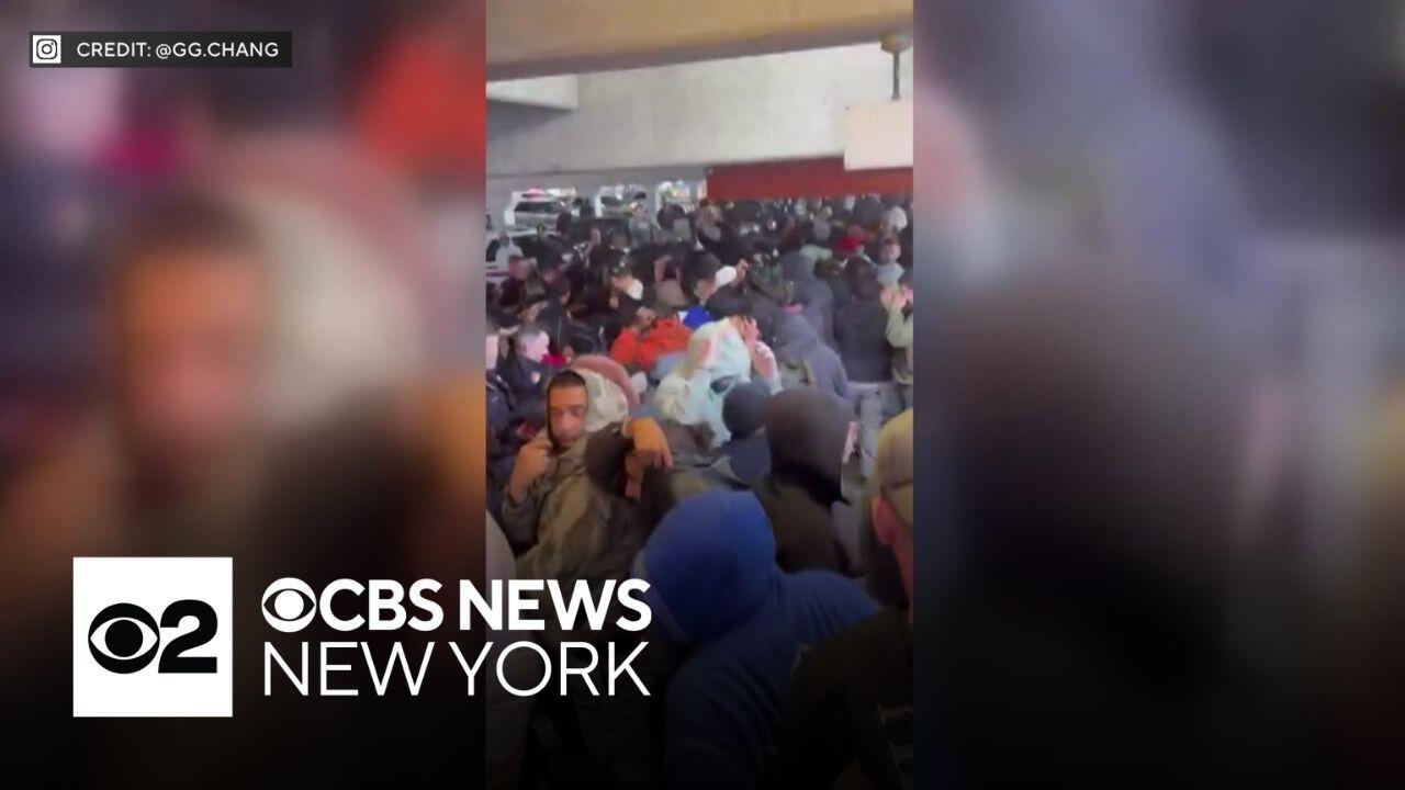 Swatch frenzy at Roosevelt Field Mall leads to 4 arrests