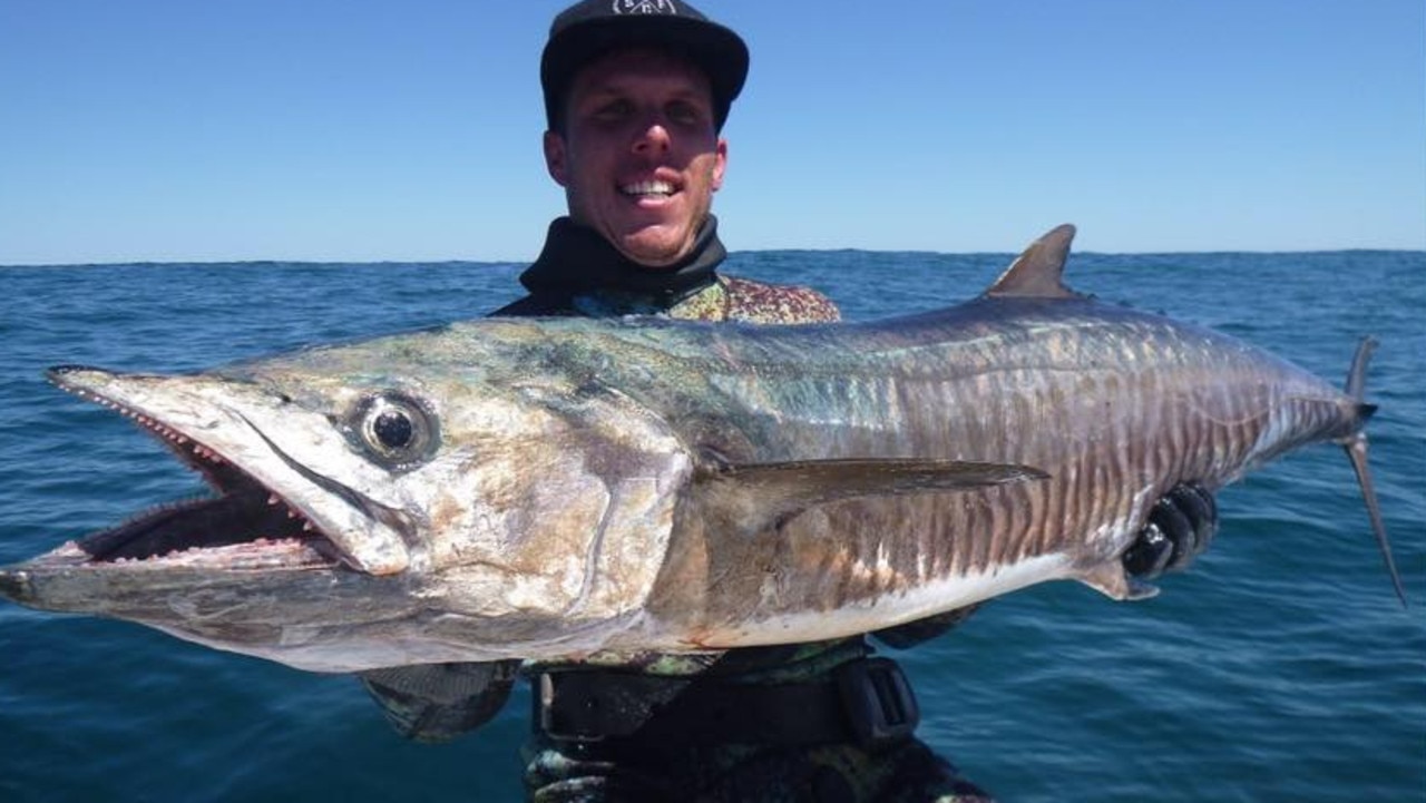‘Chaotic’: Horror of fatal shark attack