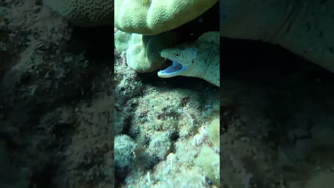 He doesn’t need a degree to know the ocean is in trouble