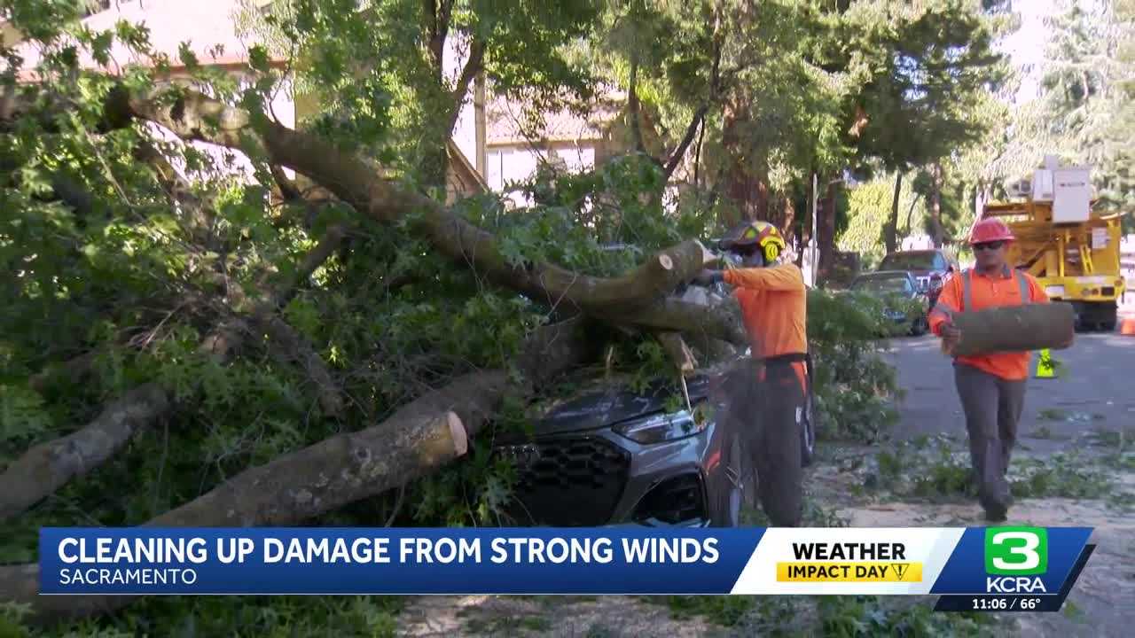 'We'll be busy all night,' Sacramento crews work to clear downed trees ...