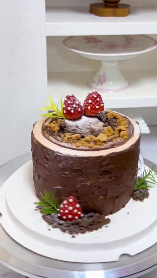 Chocolate strawberry cake decorating ideas that look bakery made
