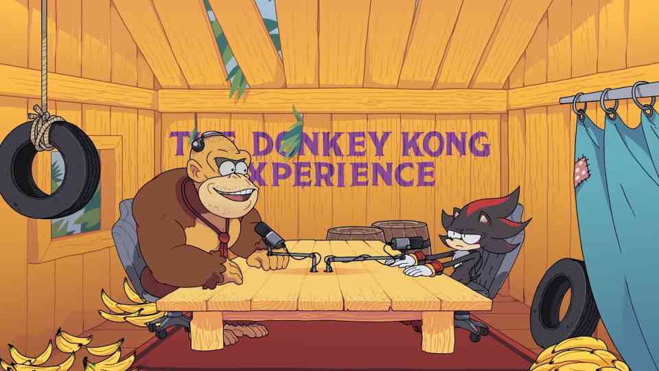 Shadow's too smart for DK the Donkey Kong experience