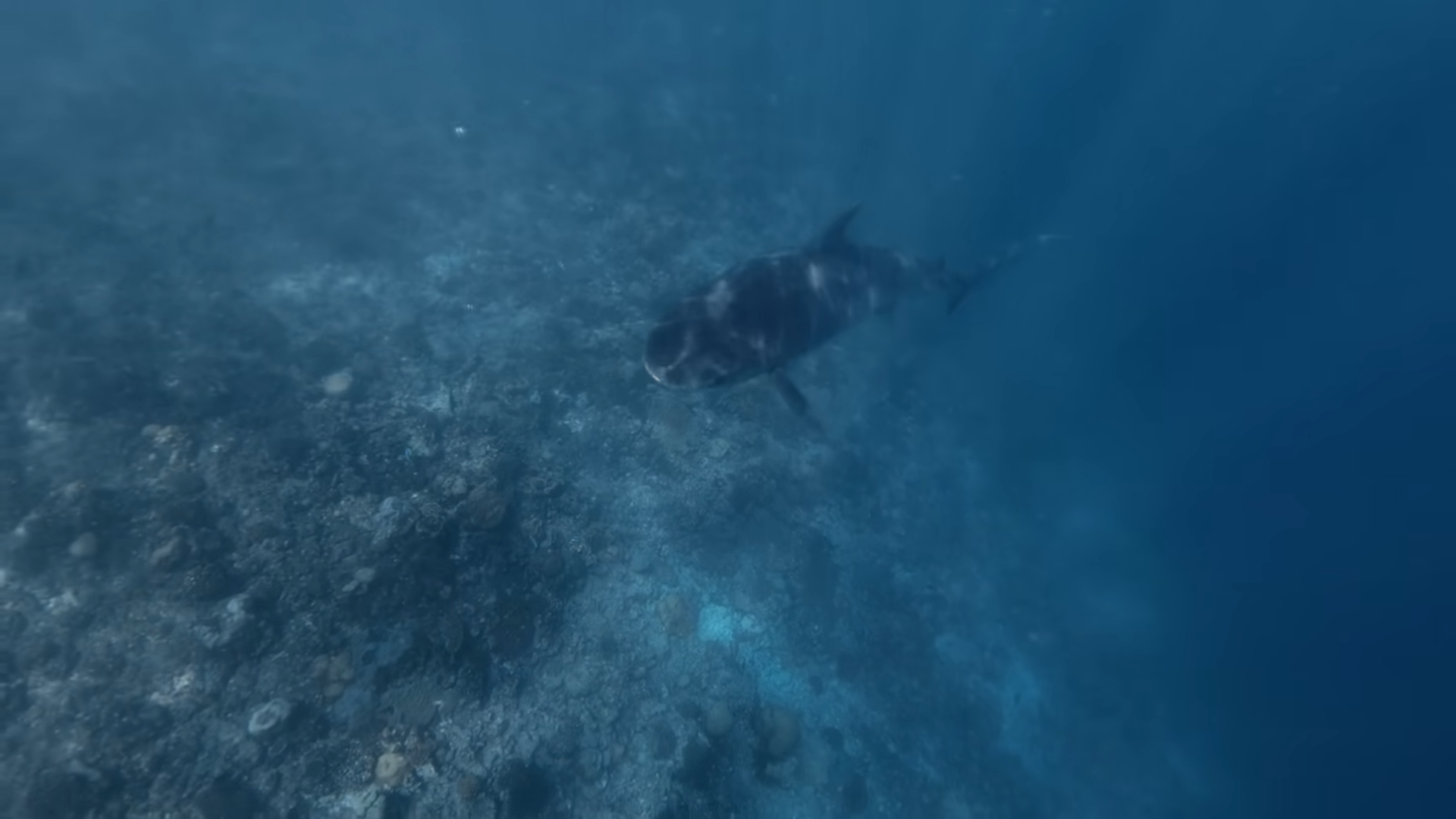 Watch what happens when the ocean turns dangerous fast
