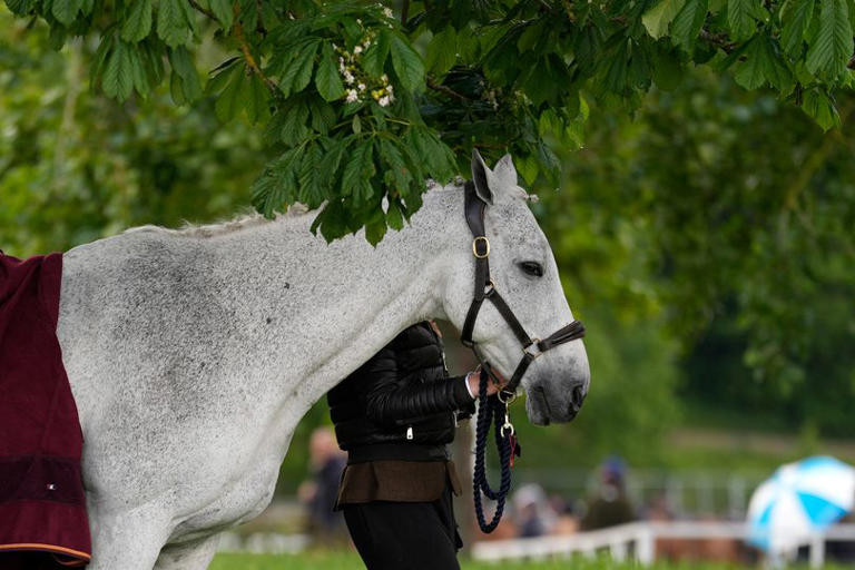 Unexplained soldier death at Royal Windsor Horse Show sparks police appeal