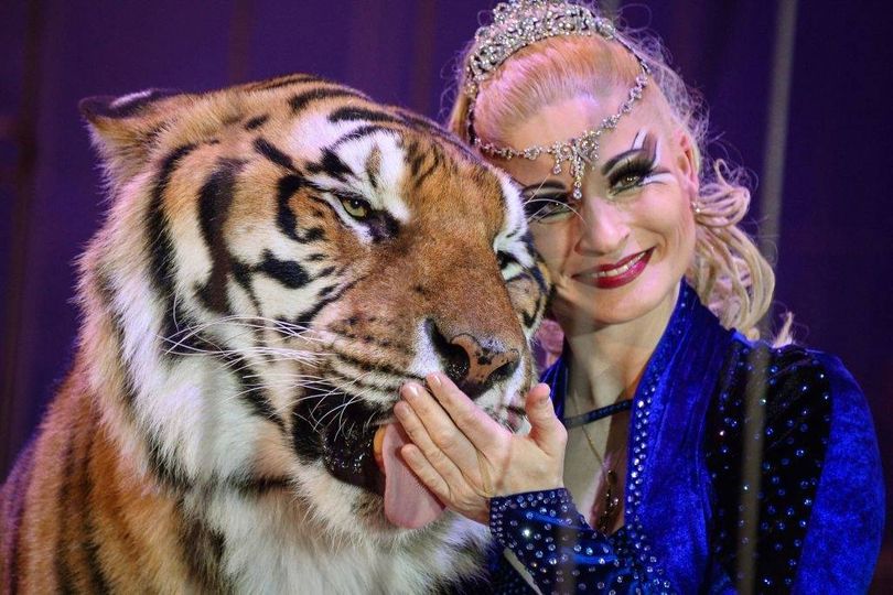 Tiger Queen's big cat gunned down after attacking keeper and escaping ...