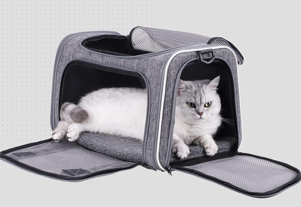 The best actually-comfortable pet carriers for travel