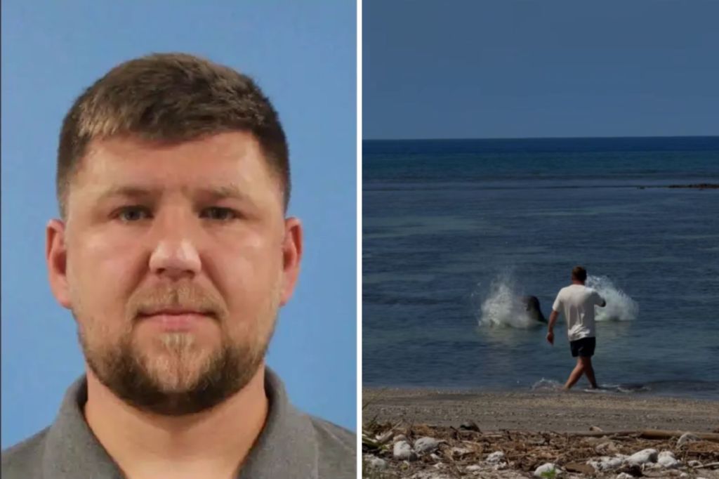 Tourist who threw rock at seal devastated at backlash