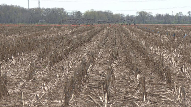 LaPorte Common Council expected to vote on second Microsoft data center ...