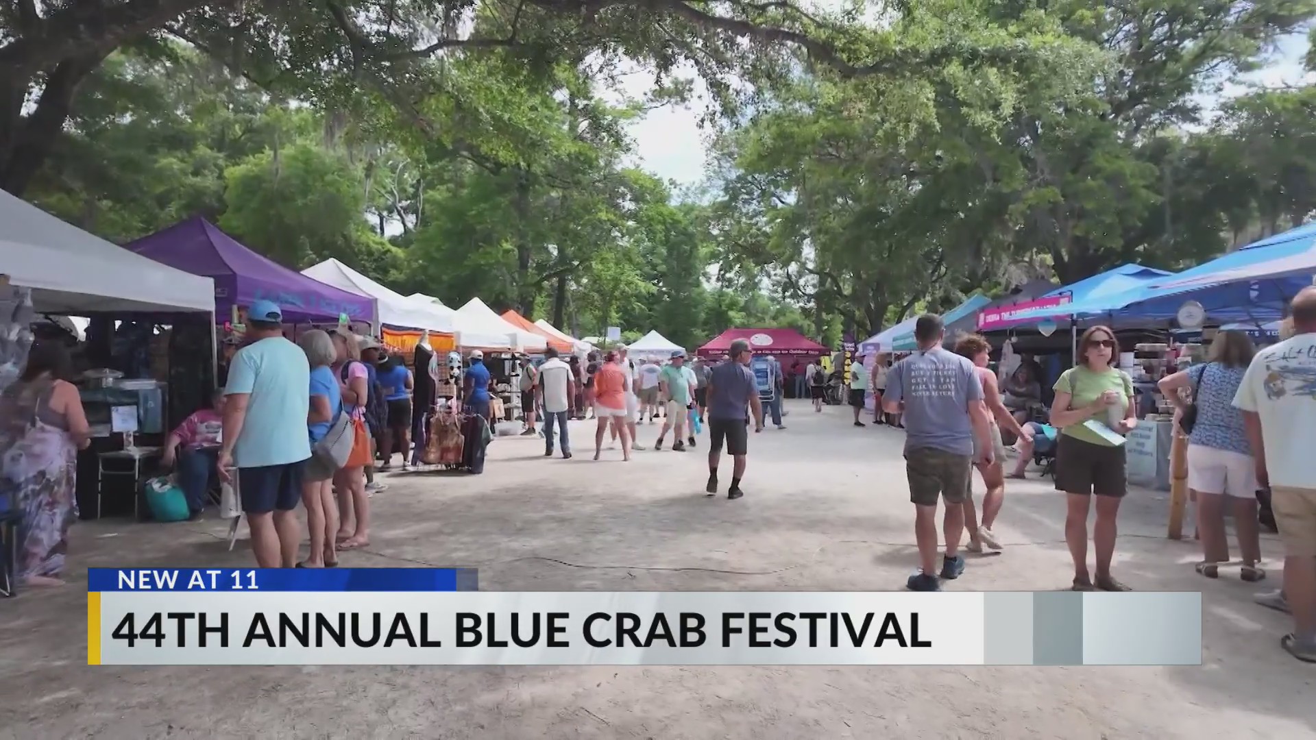 Thousands attend Little River waterfront for 44th annual Blue Crab Festival