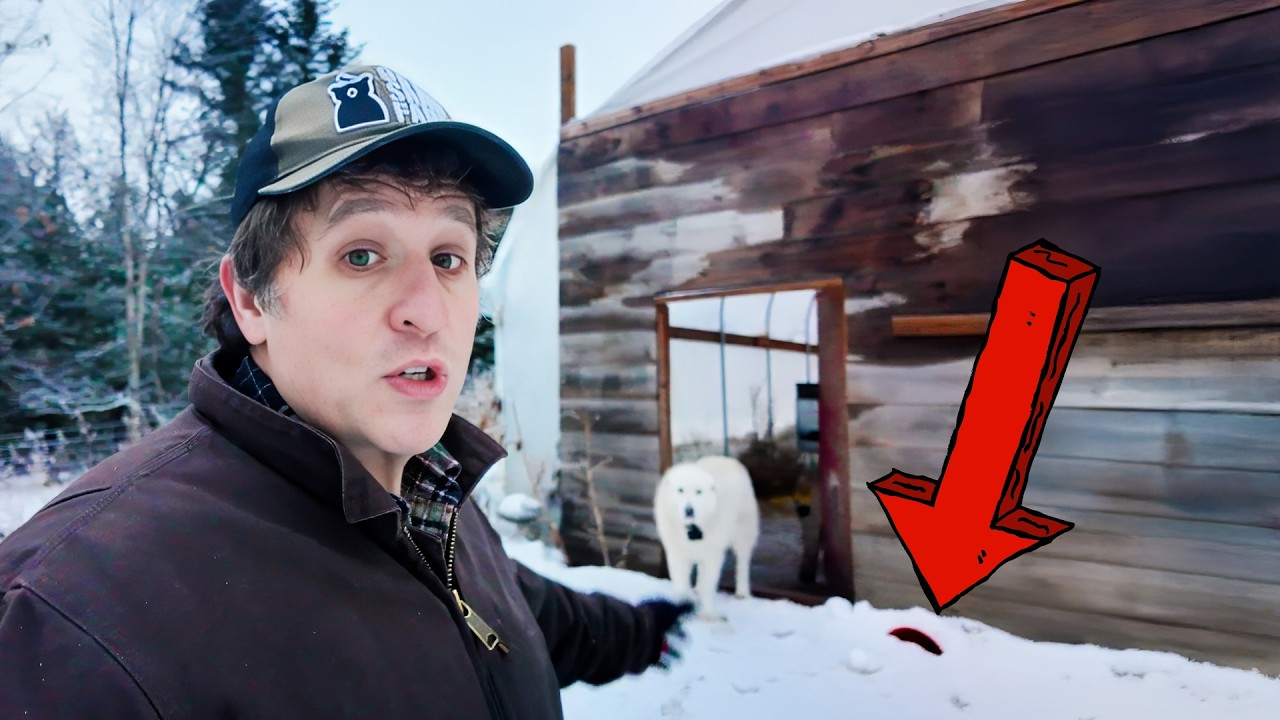 Is there a rat problem hiding on this farm?