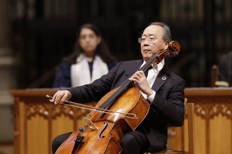 Eight easy hobbies that slow brain ageing
