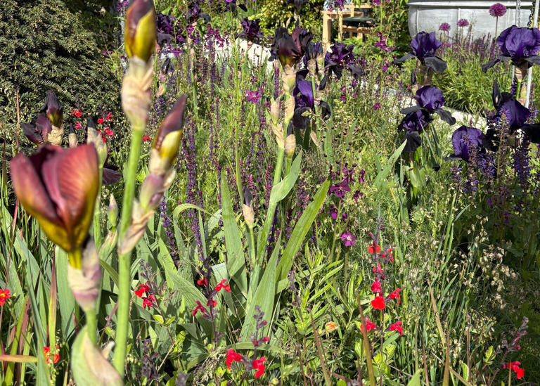 The top trends you need to know from the RHS Chelsea Flower Show