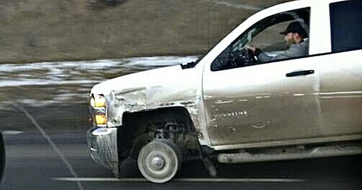 20 photos of common sense losing all its marbles