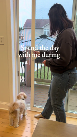 A day in my life with my dog ALDI haul and cozy moments