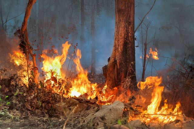 Small New Mexico community evacuated as wildfire races across 10,000 ...