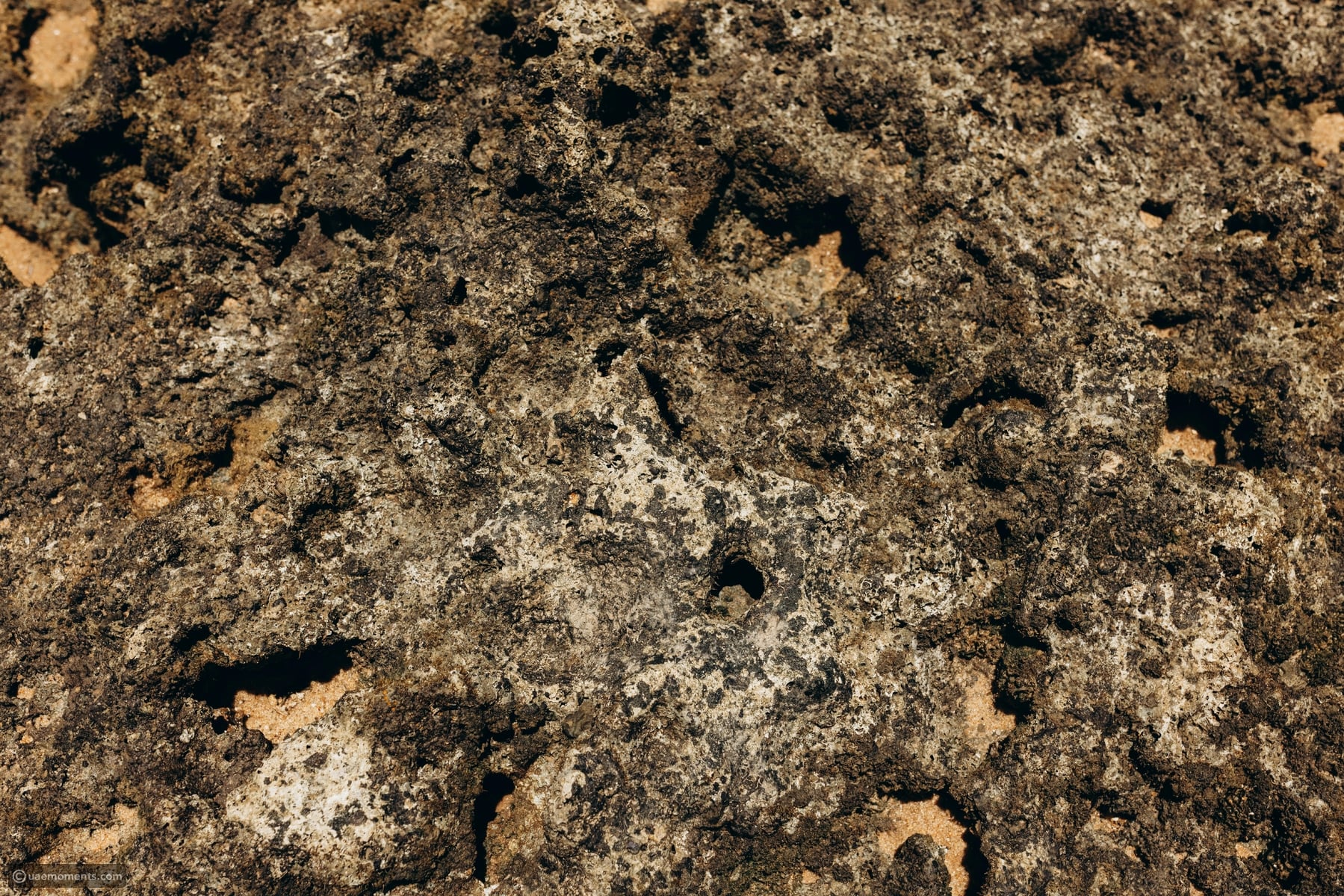 NASA spots strange rock formations on Mars